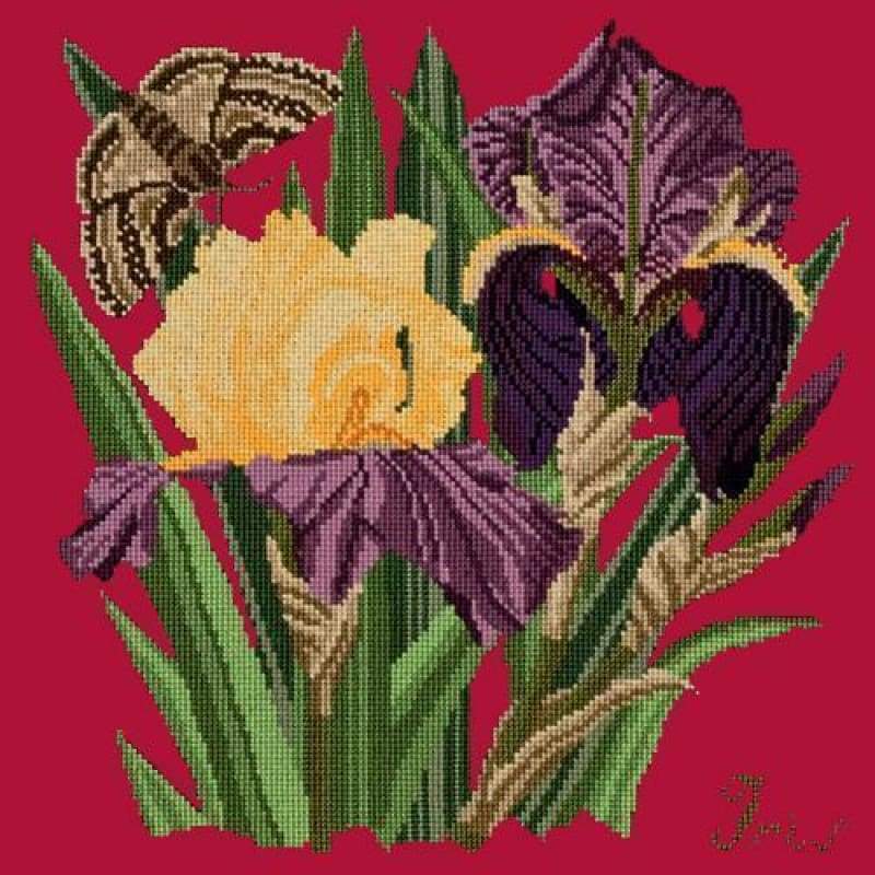 Iris Needlepoint Kit | Elizabeth Bradley Design – NEEDLEWORK KITS