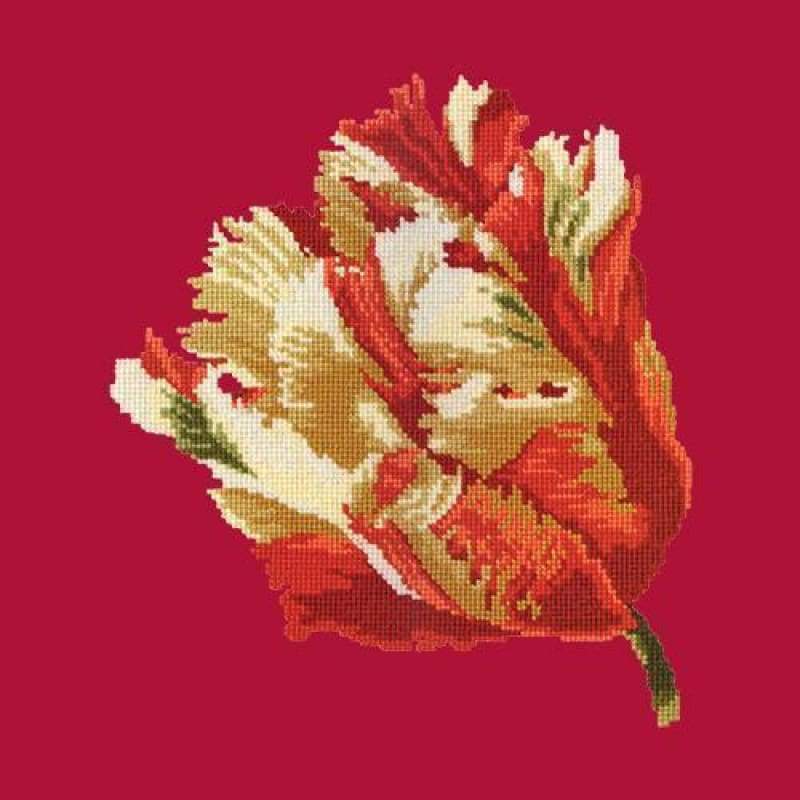 Parrot Tulip Needlepoint Kit | Elizabeth Bradley Design – NEEDLEWORK KITS
